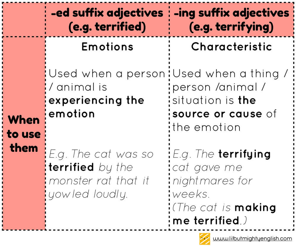 Primary School Vocabulary: Confuse, Confused, Confusing? Which is Which ...