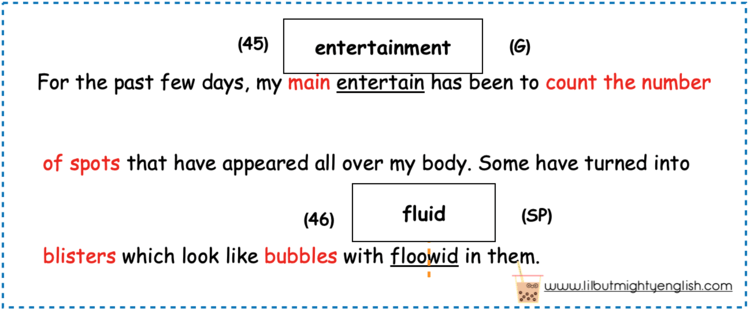 PSLE 2019 Editing | Answers Explained! - Lil' but Mighty
