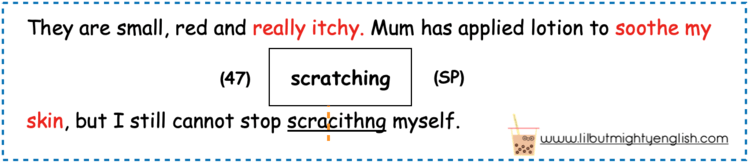 PSLE 2019 Editing | Answers Explained! - Lil' but Mighty
