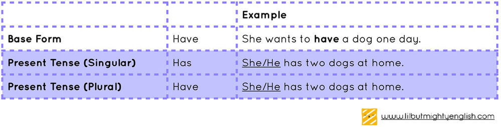 Lower Primary | Using “Has-Have-Had” Correctly!